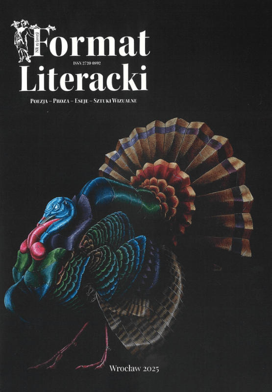 Format Literacki nr 15 (2025) kwartalnik - Księgarnia OKiS